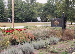 Flower Farm - Collier Row Floral Studio Demotte