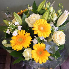 You're So Cute! Collier Row Floral Studio Demotte Florist